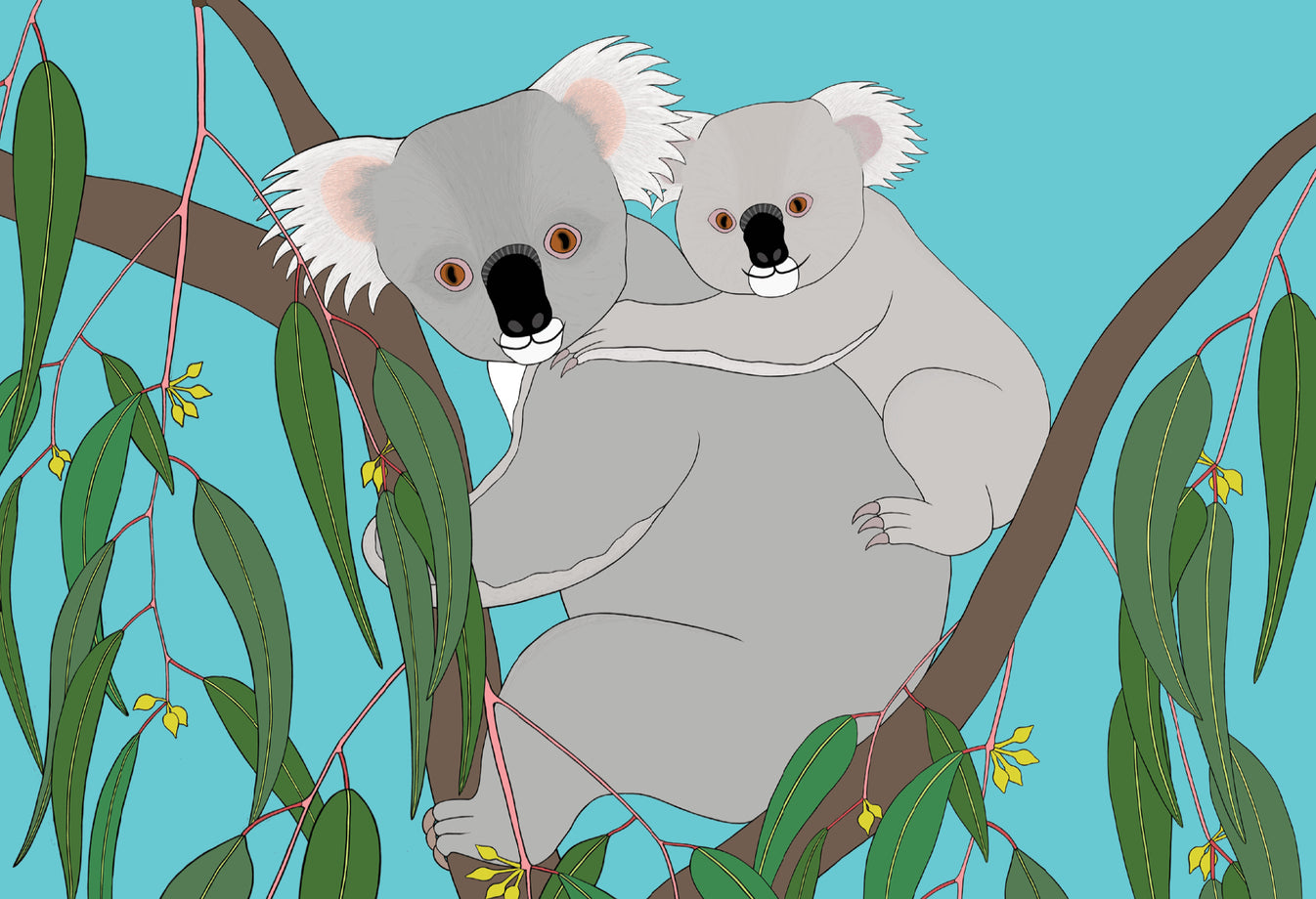Australian Animal Card - Koala – Red Parka