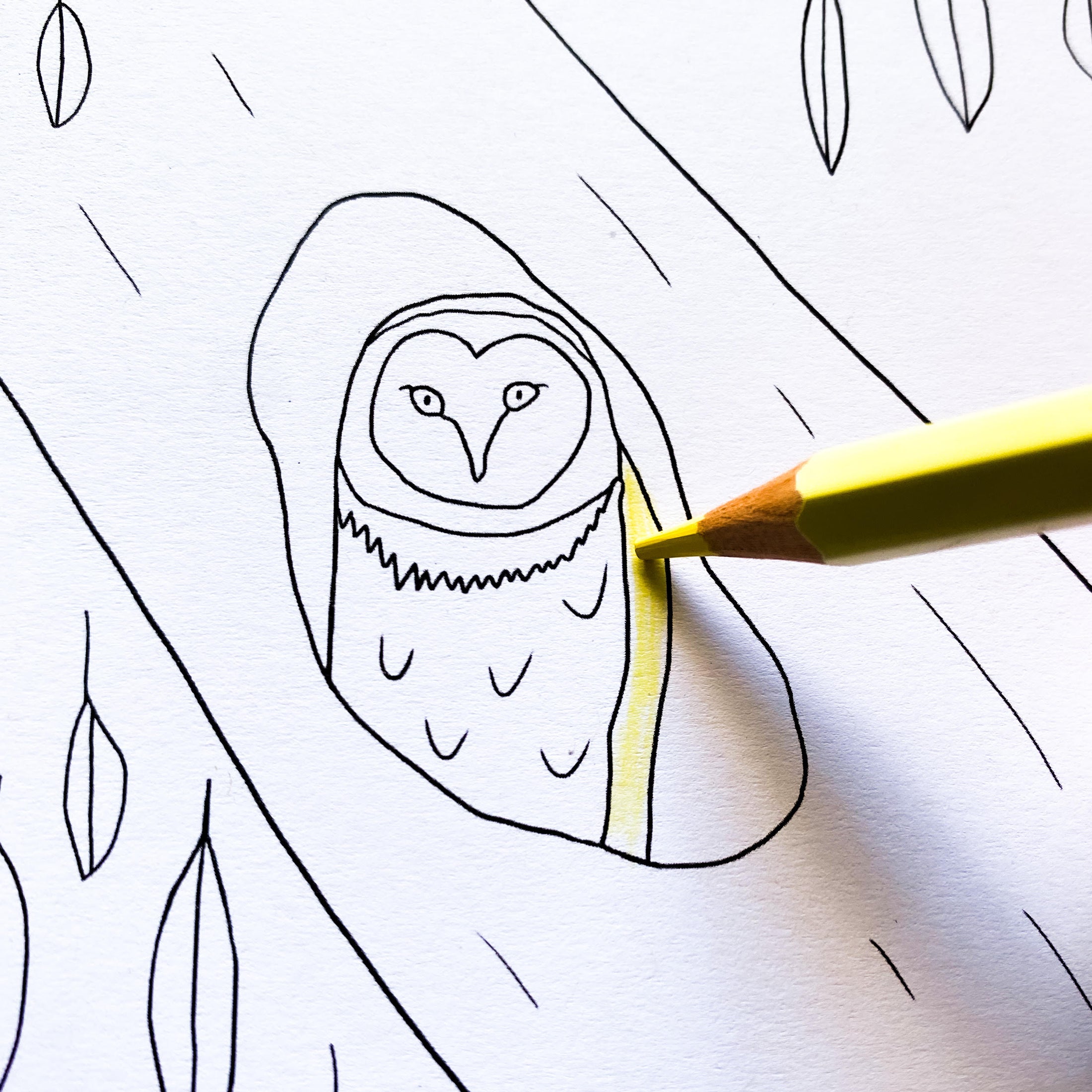 Tasmanian Animal Colouring In Book – Red Parka